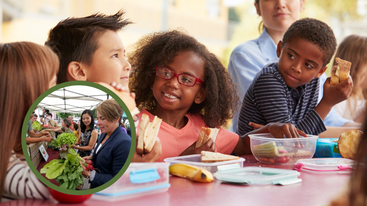 Massachusetts Unveils Universal Free School Meals – Xylo News
