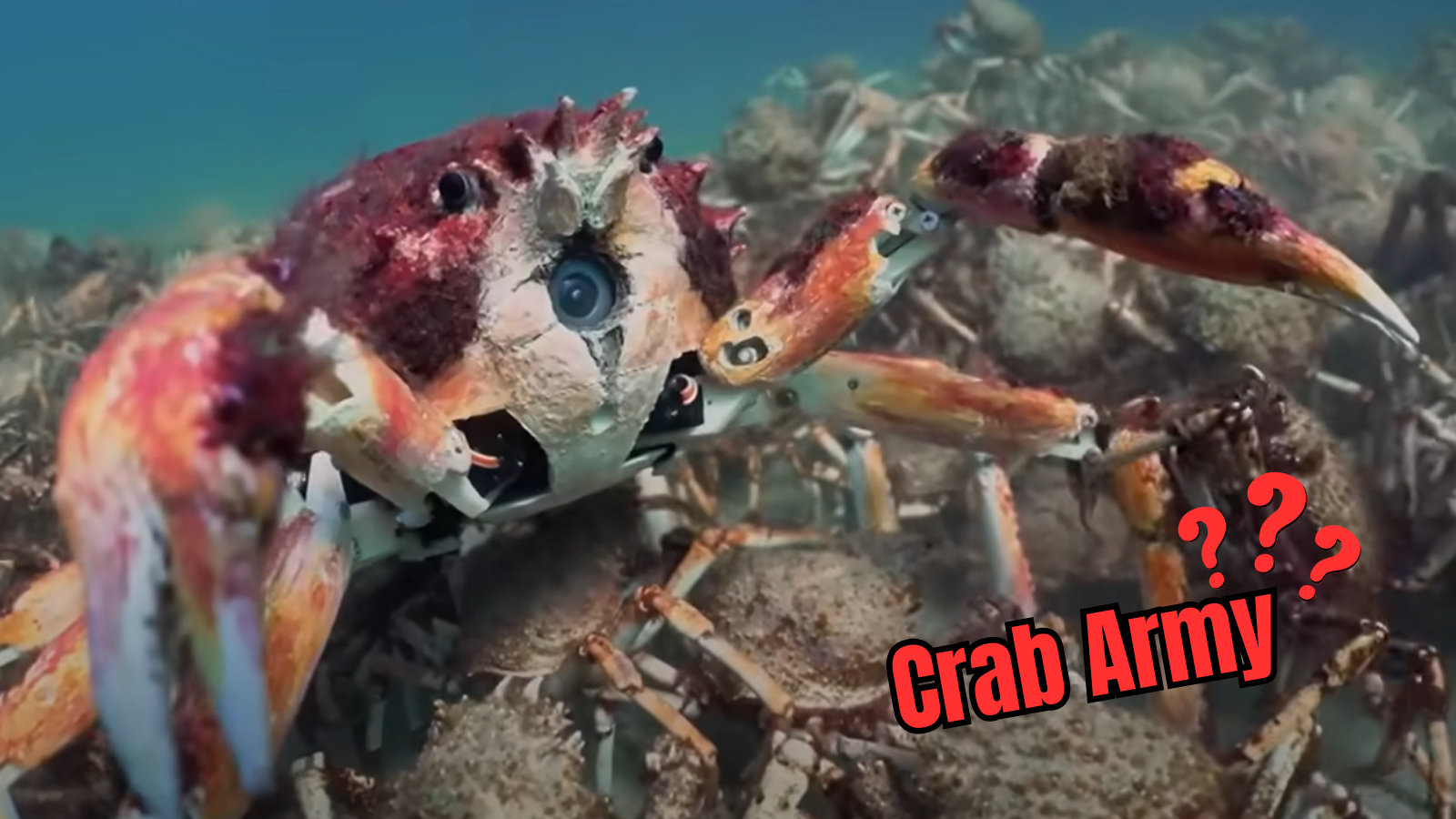 Crab Army Defends Robot Spy Crab – Xylo News