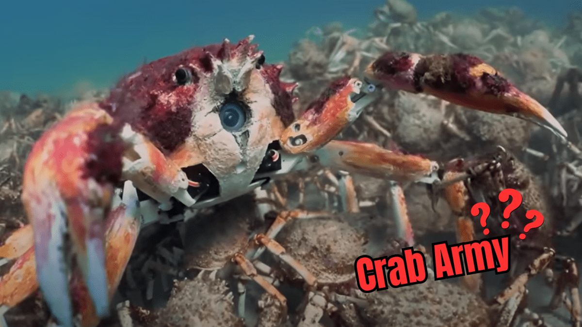 Crab Army Defends Robot Spy Crab – Xylo News